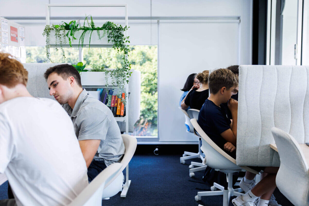 NAPLAN Explained: Boost Student Learning & Success | Study Space